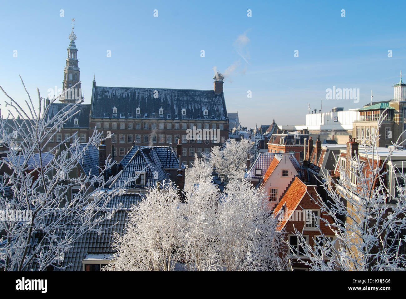 View of historic building in old town with trees and branches covered ...