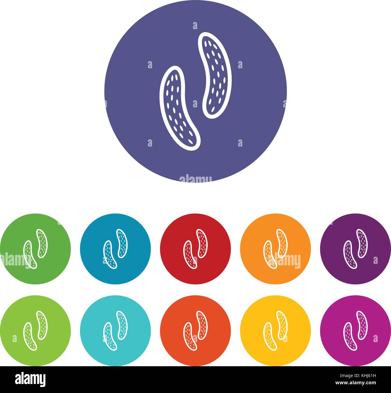 Epithelial cell set icons Stock Vector Image & Art - Alamy