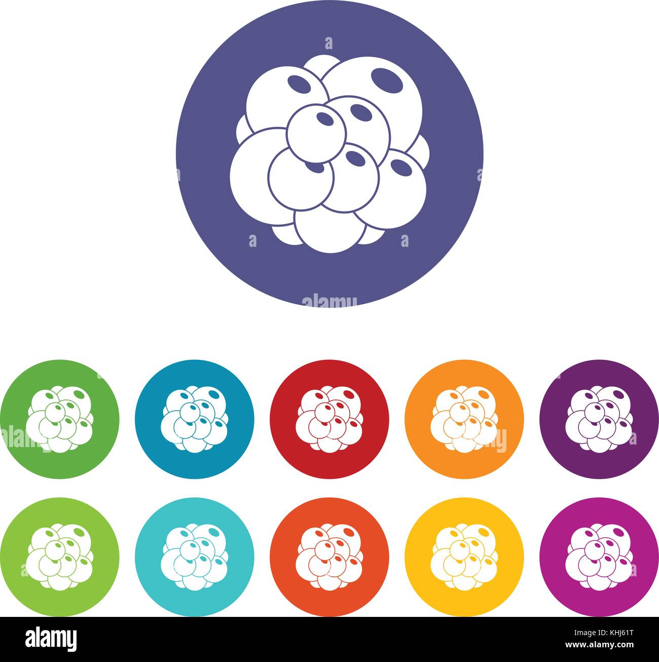 Ovary set icons Stock Vector Image & Art - Alamy