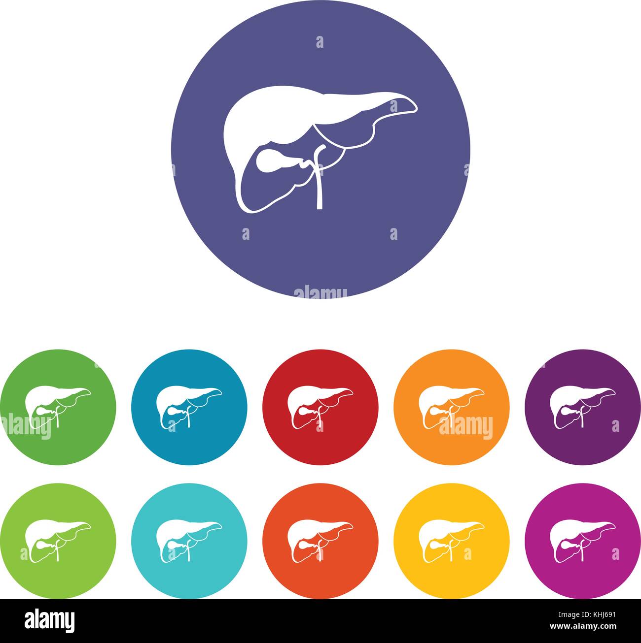 Liver set icons Stock Vector Image & Art - Alamy