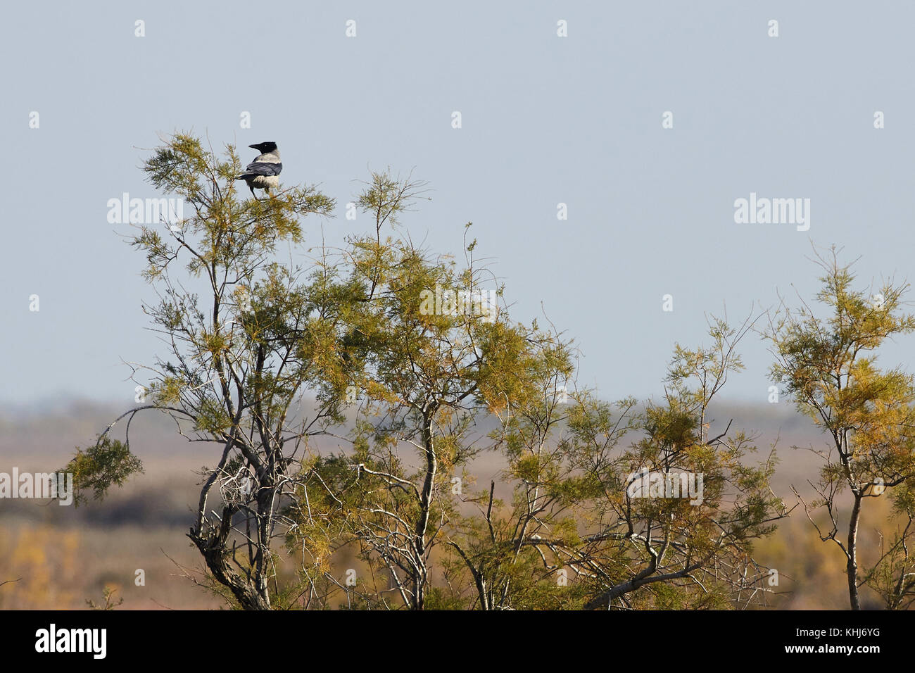 Crow wing river hi-res stock photography and images - Alamy