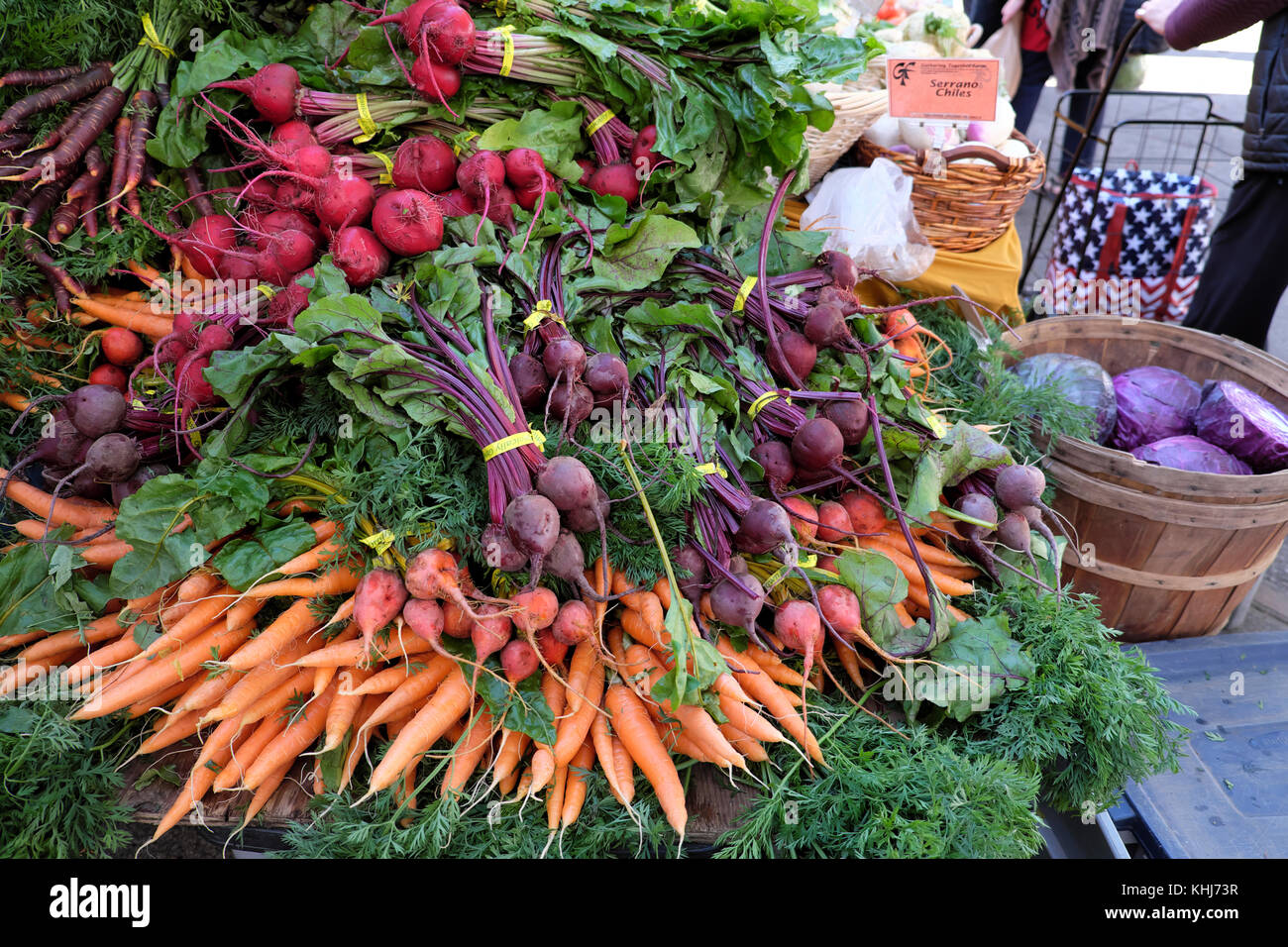 Portland state university campus hi-res stock photography and images ...