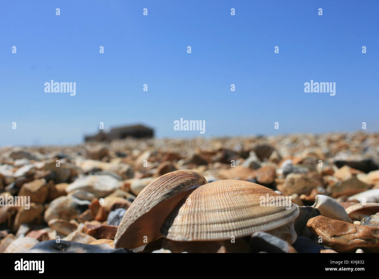 Calshot beach forms part of a mile long shingle spit which reaches out ...