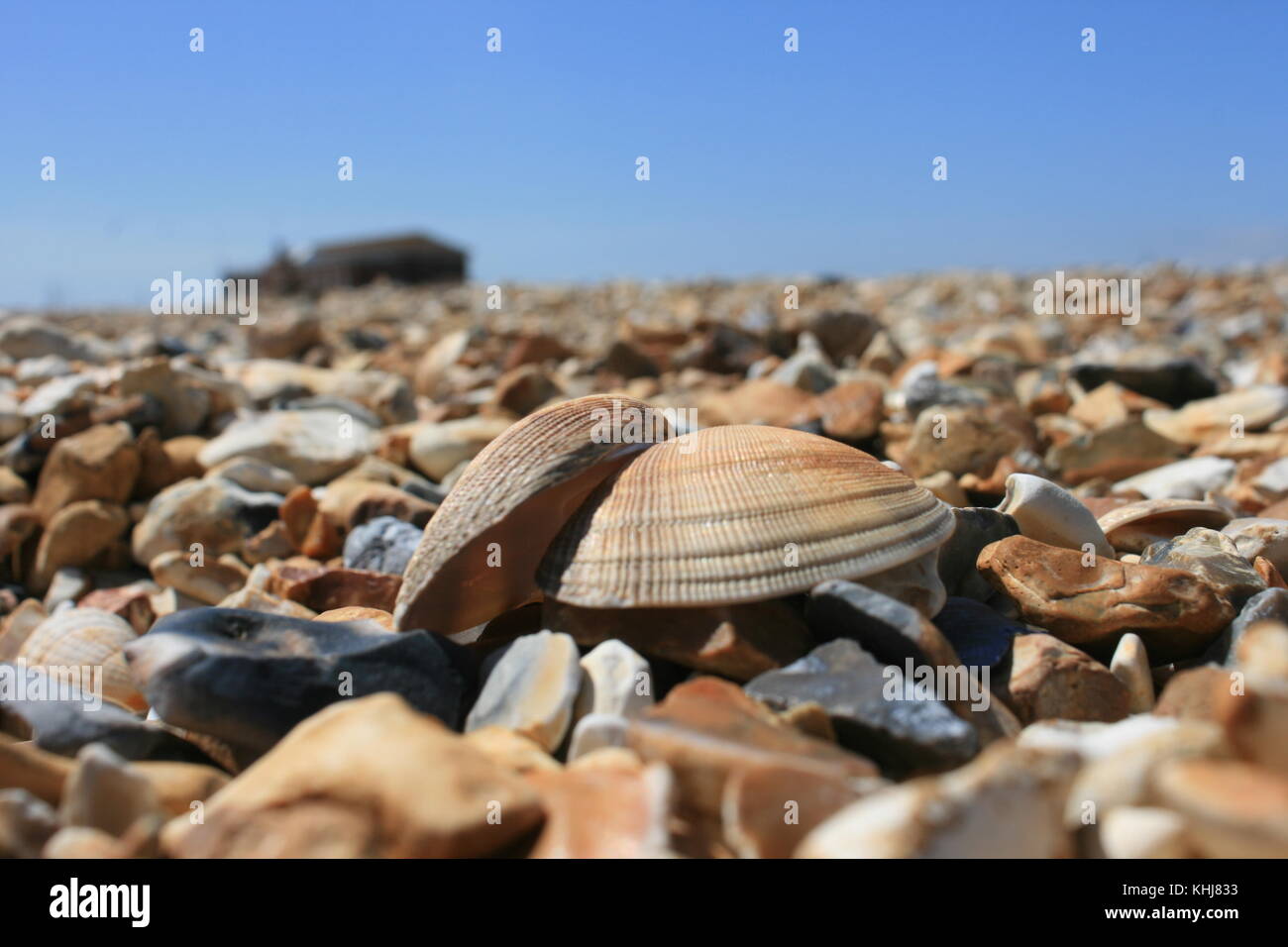 Calshot beach forms part of a mile long shingle spit which reaches out ...