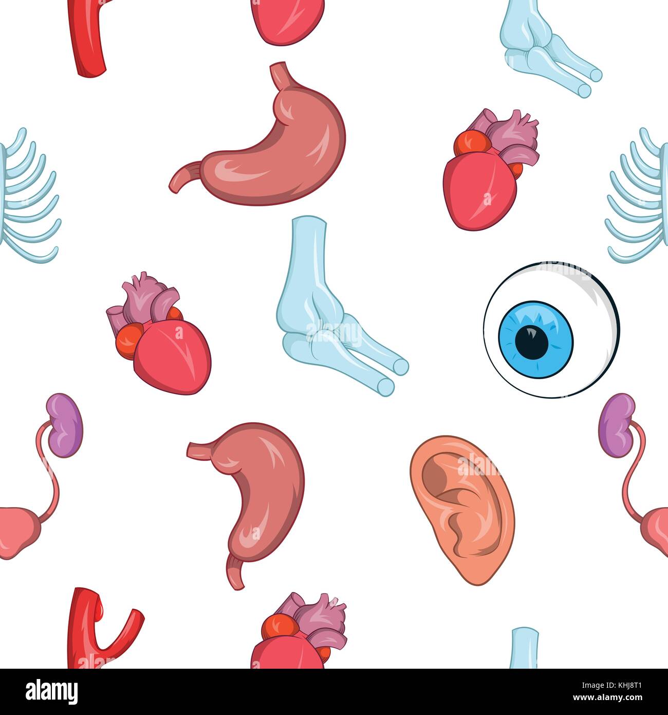 Internal organs pattern, cartoon style Stock Vector Image & Art - Alamy
