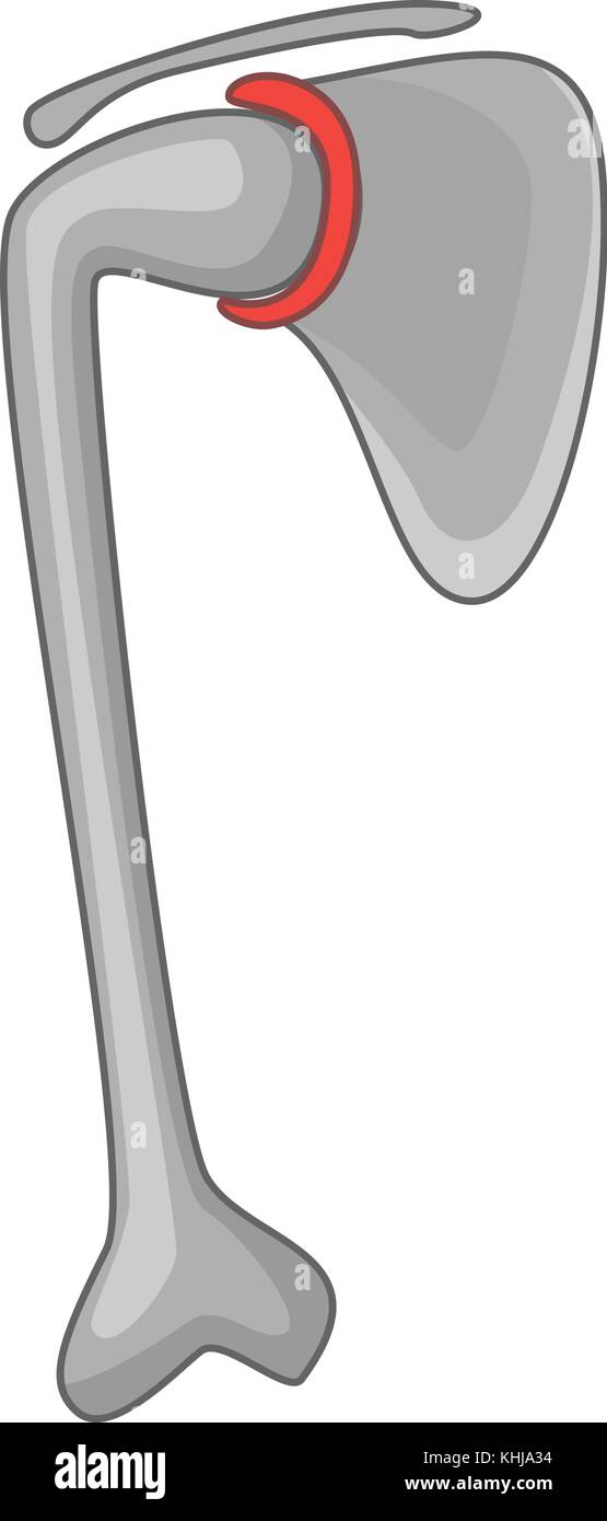 Knee joint tibia hip Stock Vector Images - Alamy