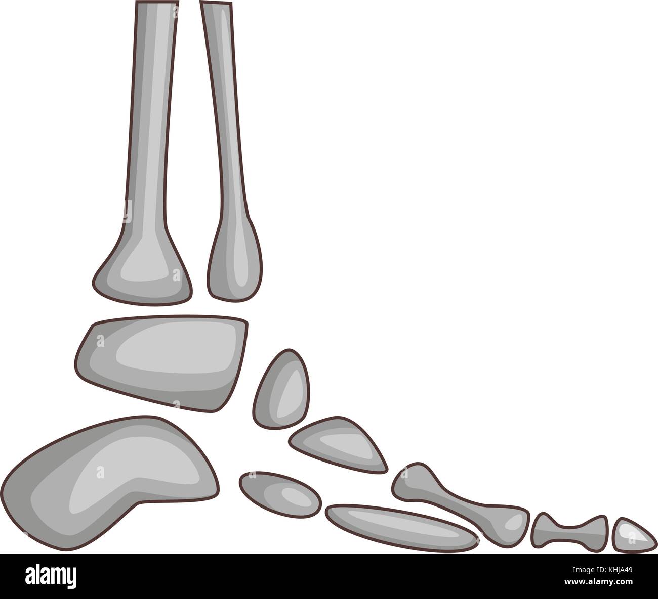 Foot bones icon, cartoon style Stock Vector Image & Art - Alamy