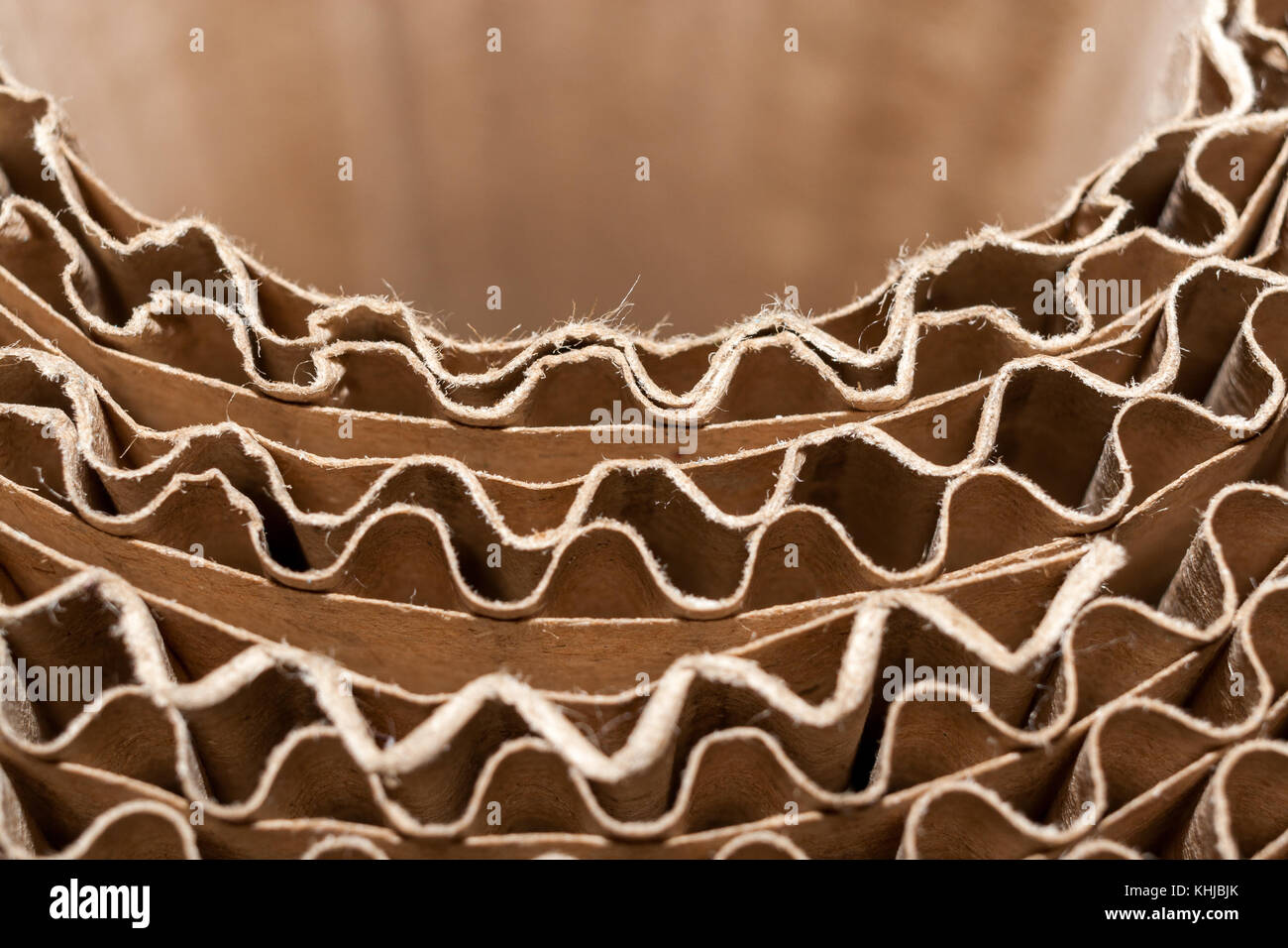 Close-up semicircular wavy layers of corrugated cardboard Stock Photo ...