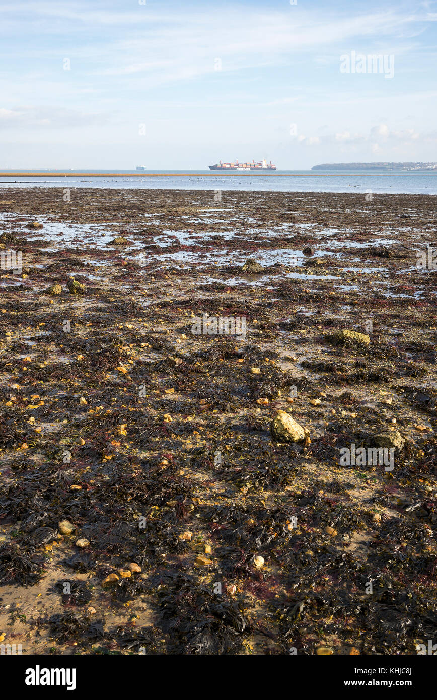 Lepe Country Park, foreshore and beach over looking The Solent and the ...