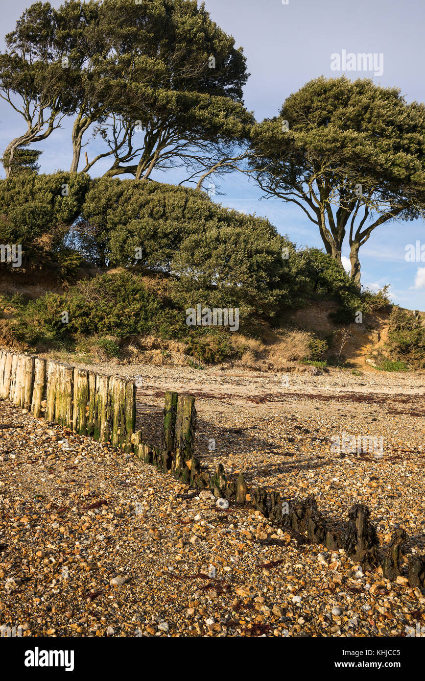 Oak wooden groynes hi-res stock photography and images - Alamy