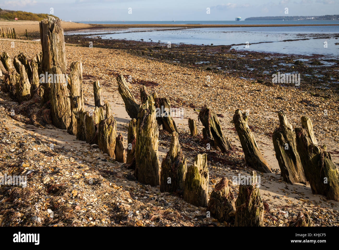 Lepe Country Park, foreshore and beach, Hampshire. Old wooden groynes ...