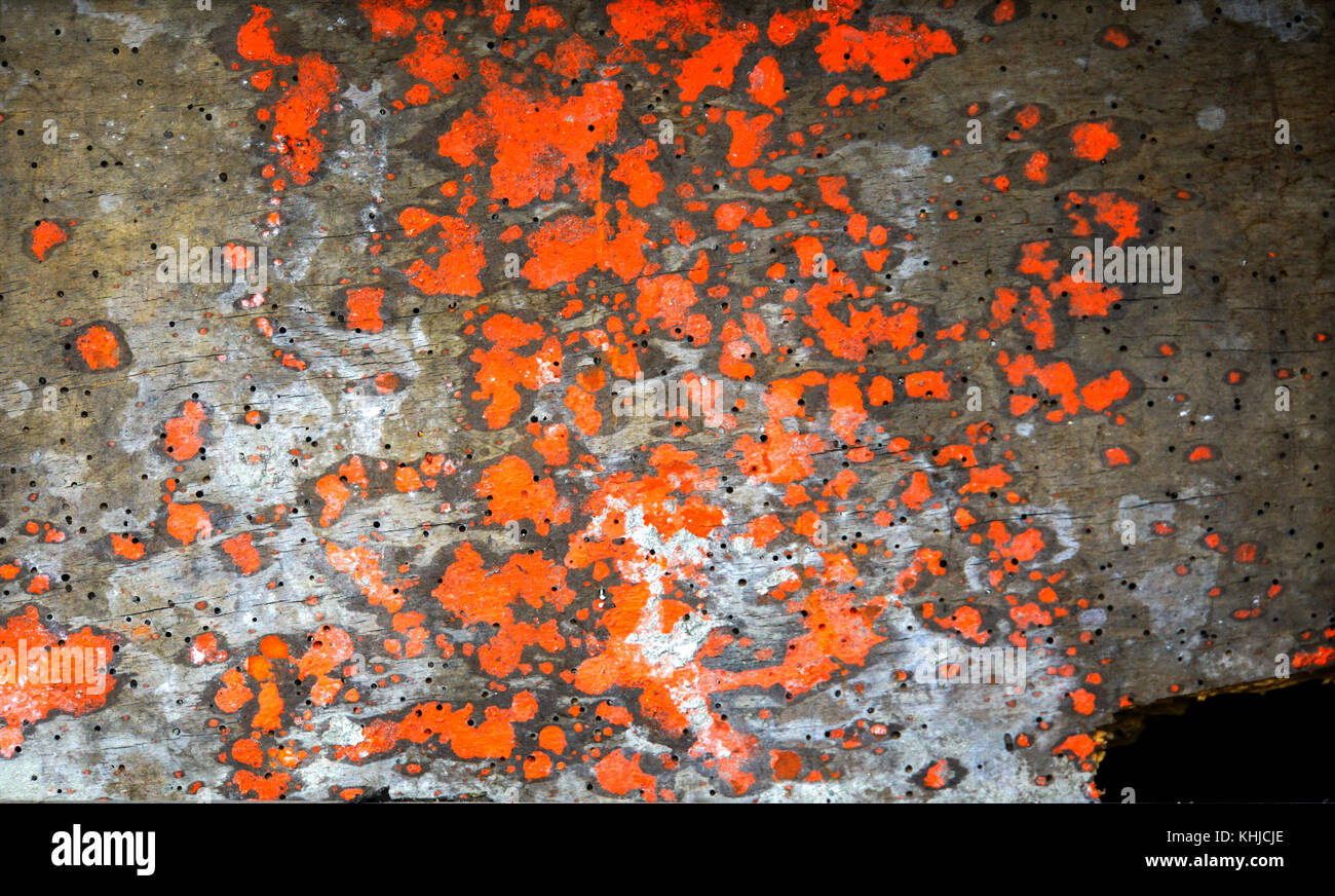 Surealist hi-res stock photography and images - Alamy