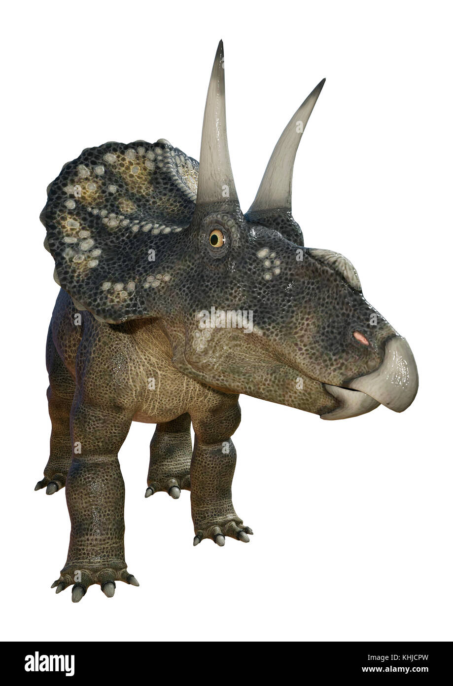 3D rendering of a dinosaur Diceratops isolated on white background ...