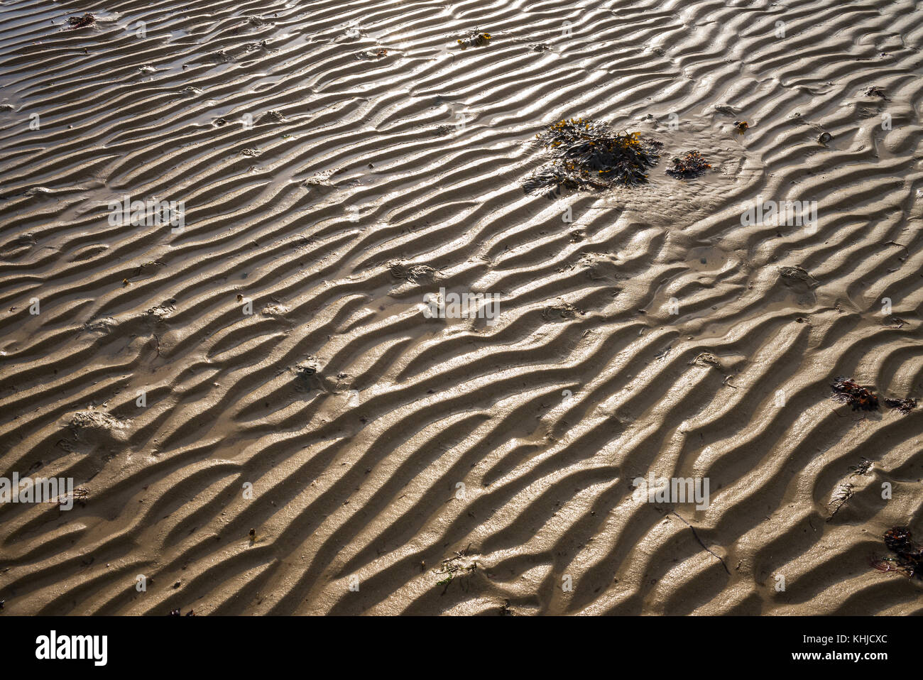 Lepe foreshore country park hi-res stock photography and images - Alamy