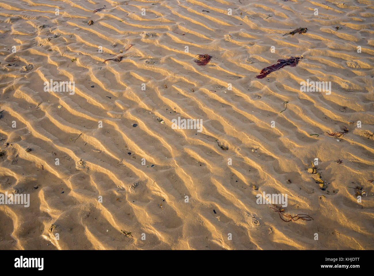 Wave ripple patterns in beach sand at Lepe Country Park, foreshore and ...