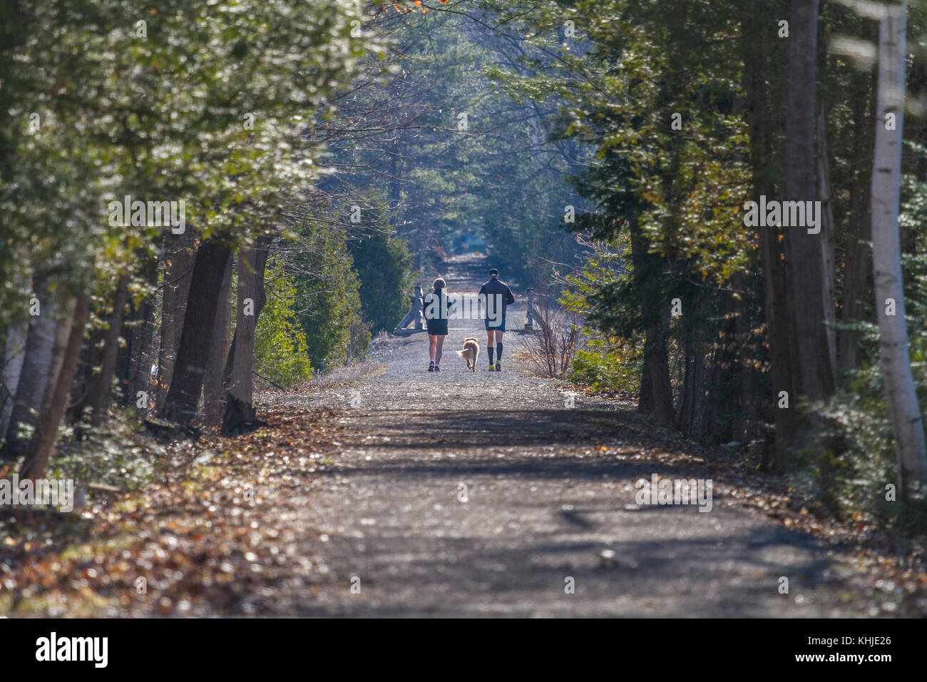 Stroll in the park Stock Photo - Alamy