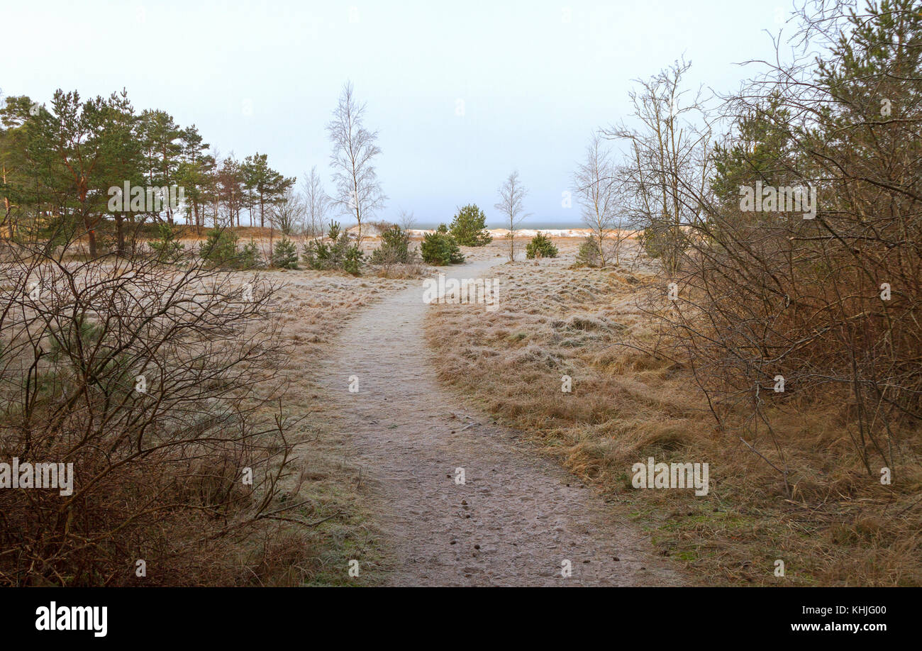 Path to the Baltic sea Stock Photo - Alamy