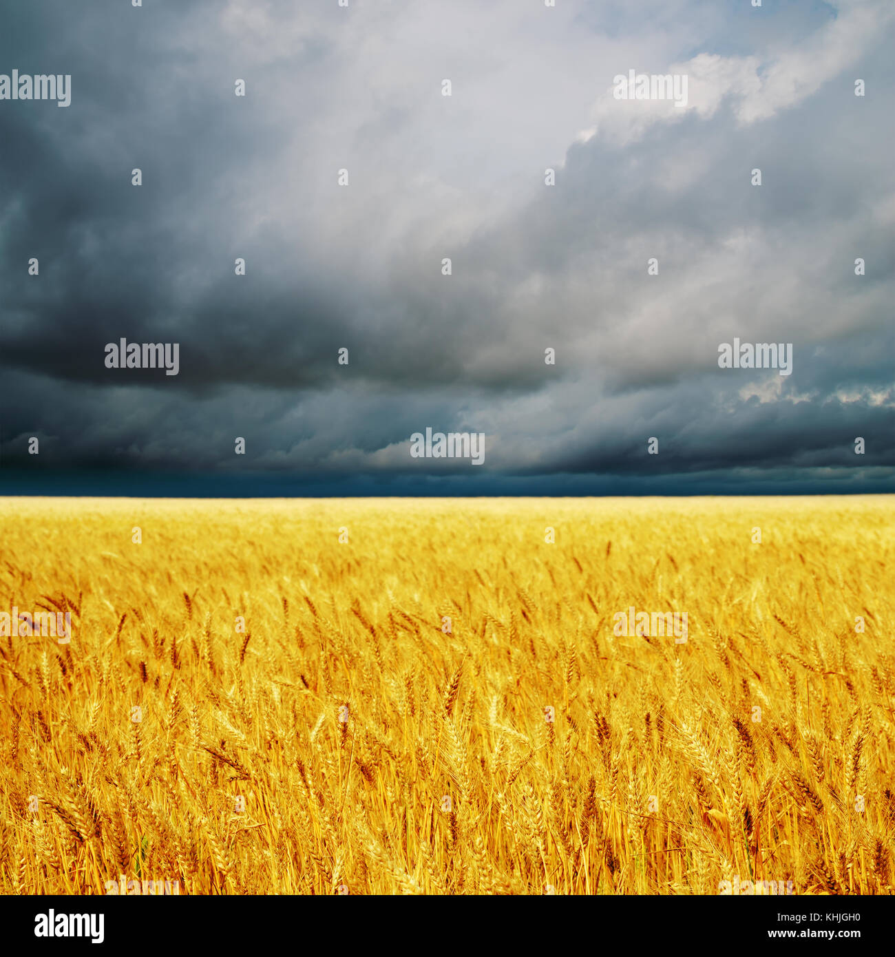 Dark clouds over field hi-res stock photography and images - Alamy