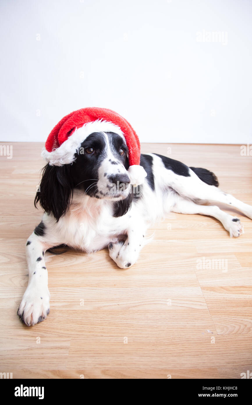 Best calendar hi-res stock photography and images - Alamy