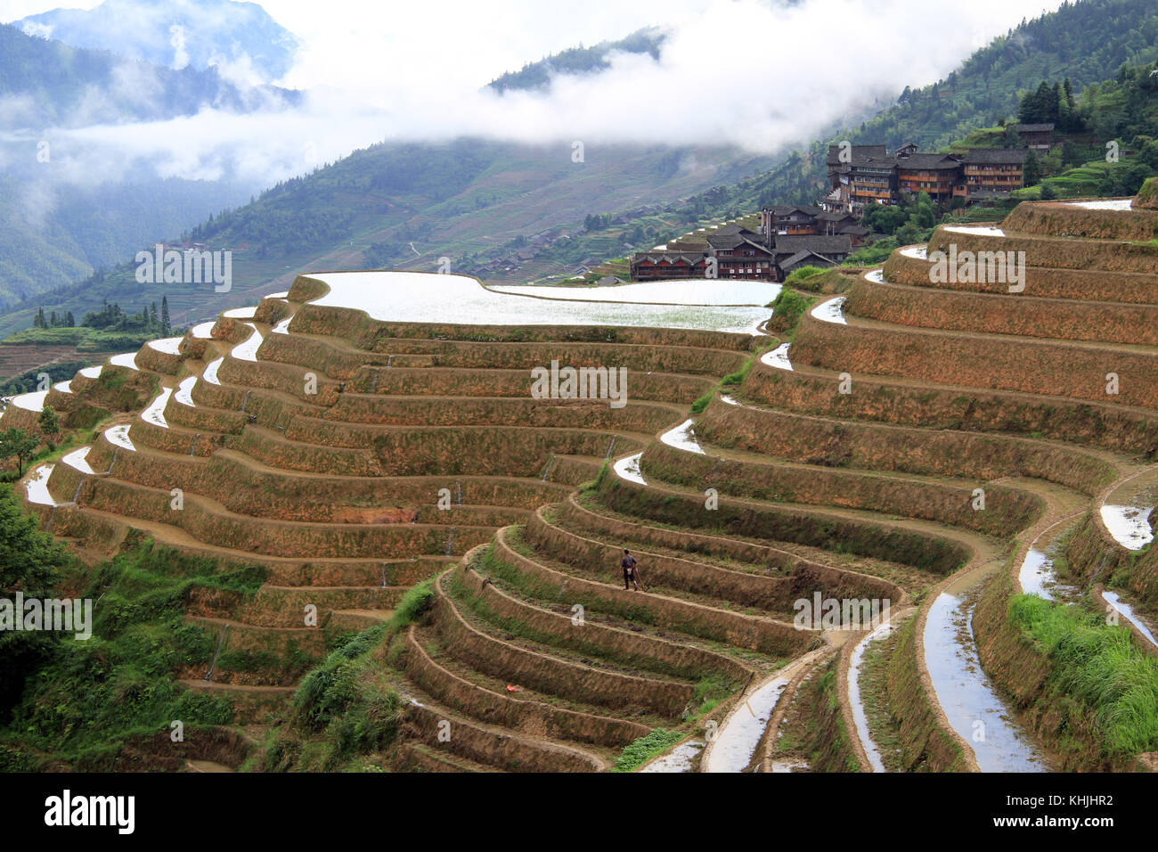 Man wal on the Longsheng Rice Terraces; China Stock Photo - Alamy