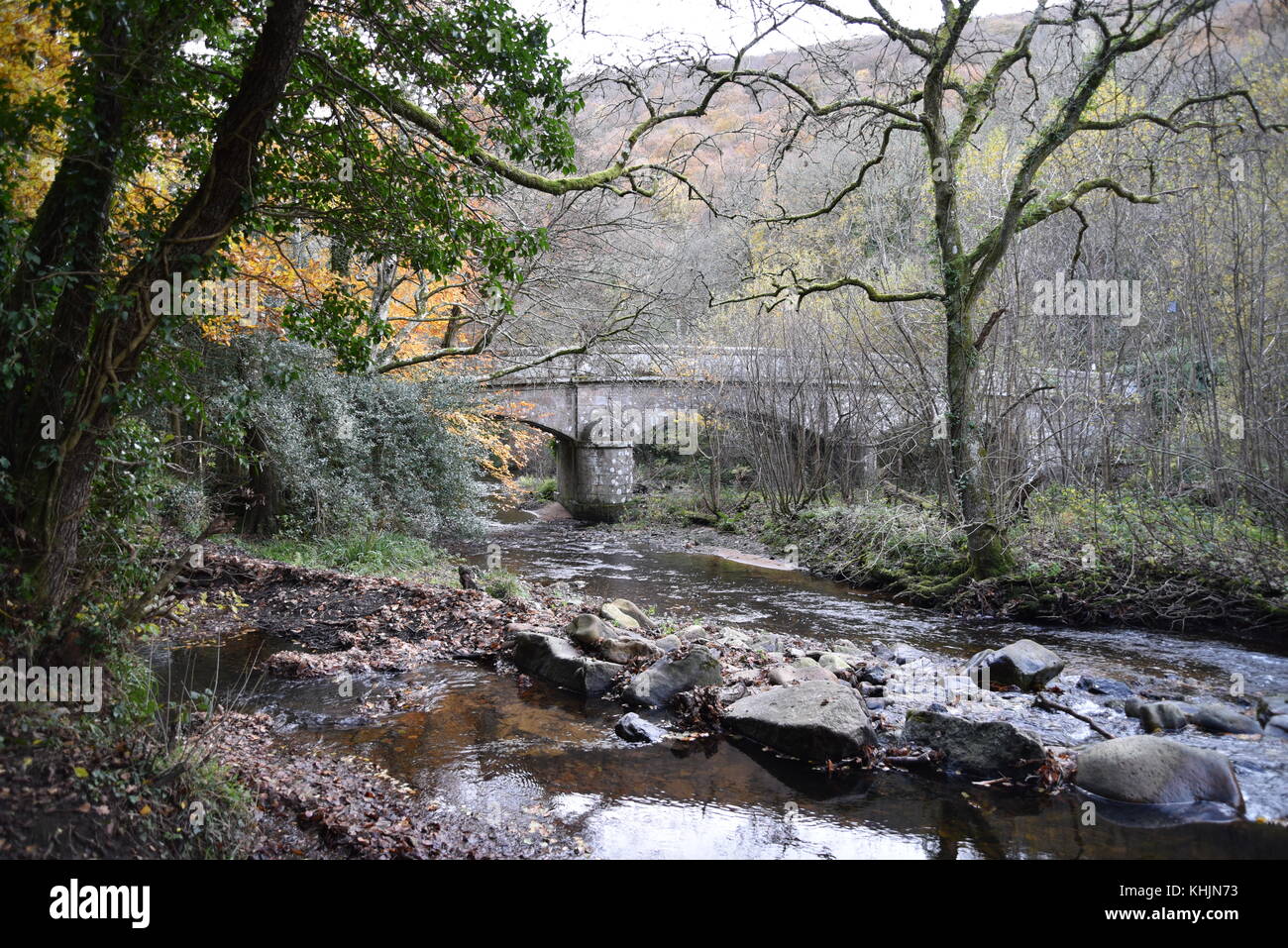 Stone bridge over River Teign Stock Photo - Alamy