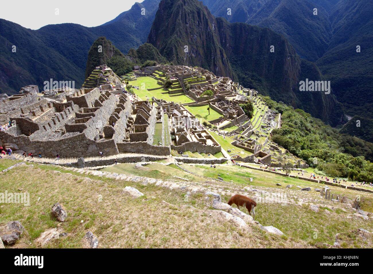 The nature of Peru in south America Stock Photo - Alamy