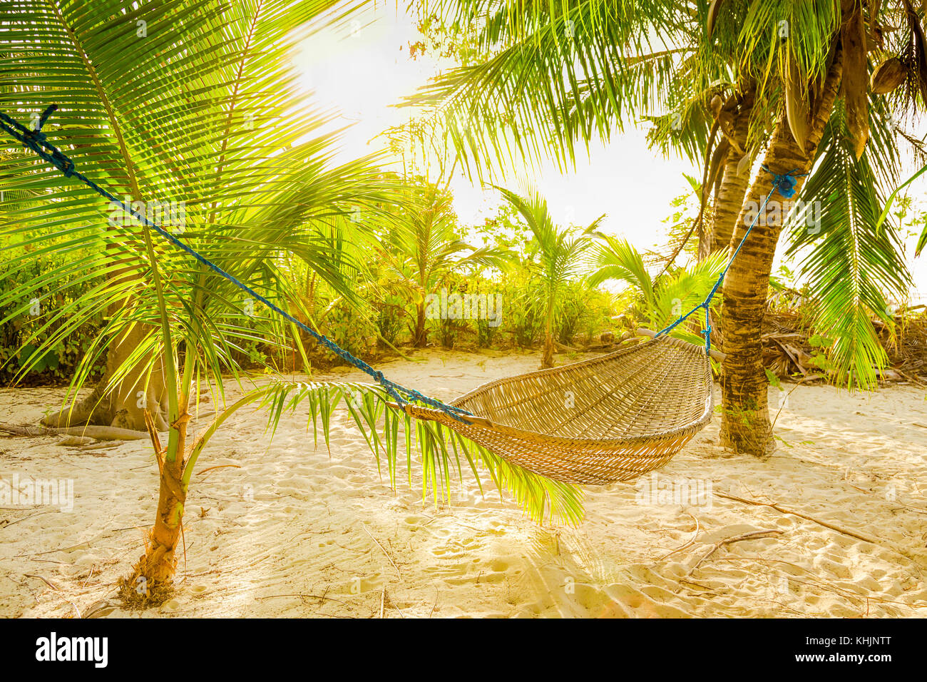 Traditional braided hammock between two palm trees in the sunshine on a tropical beach Stock ...