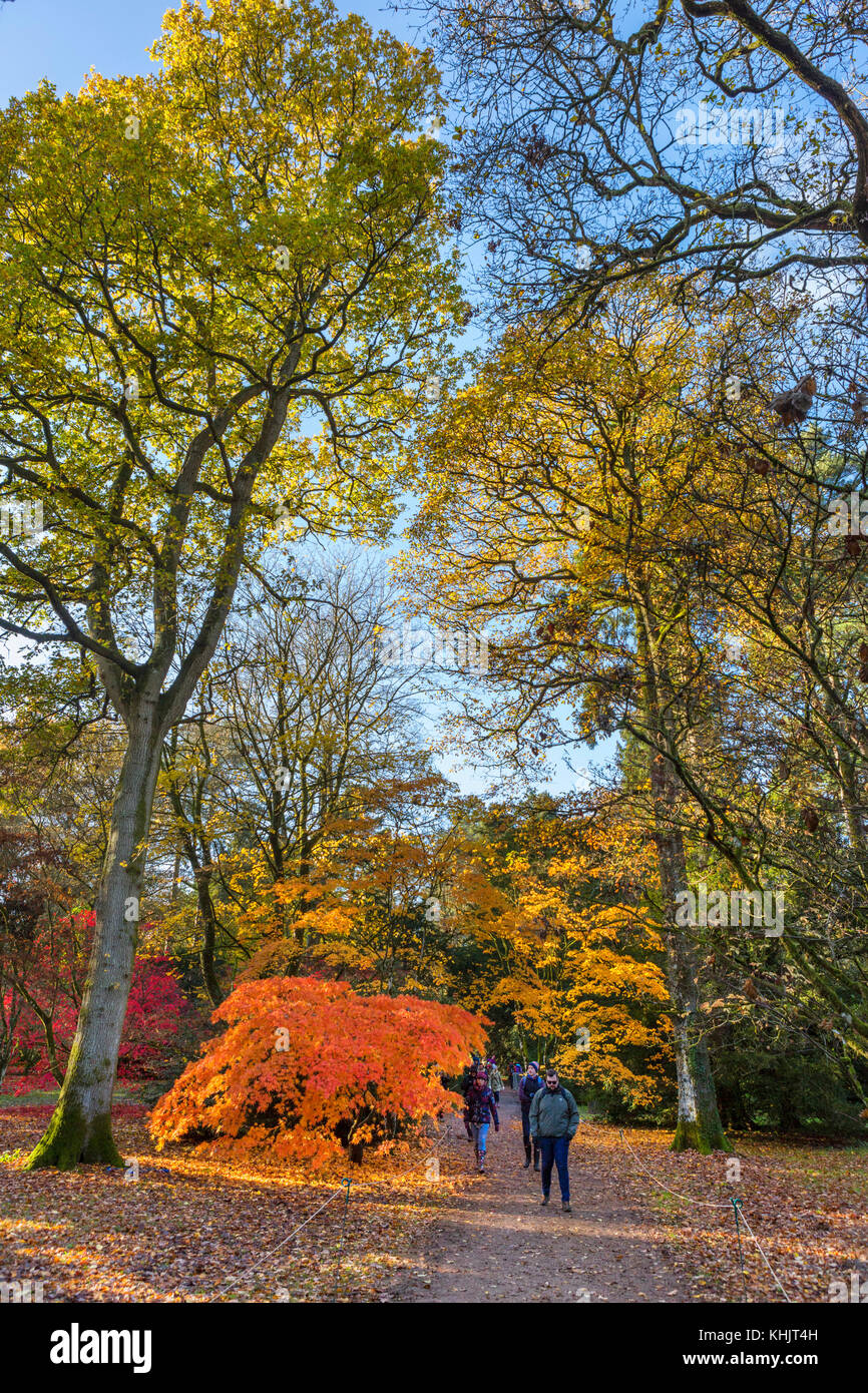 Westonbirt arboretum hi-res stock photography and images - Alamy