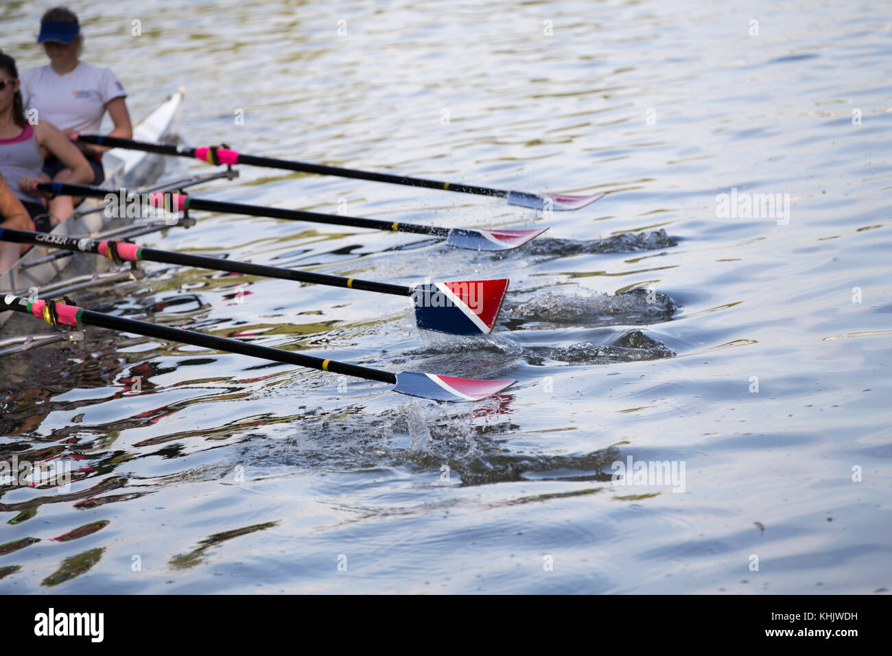 Rowing training hi-res stock photography and images - Alamy