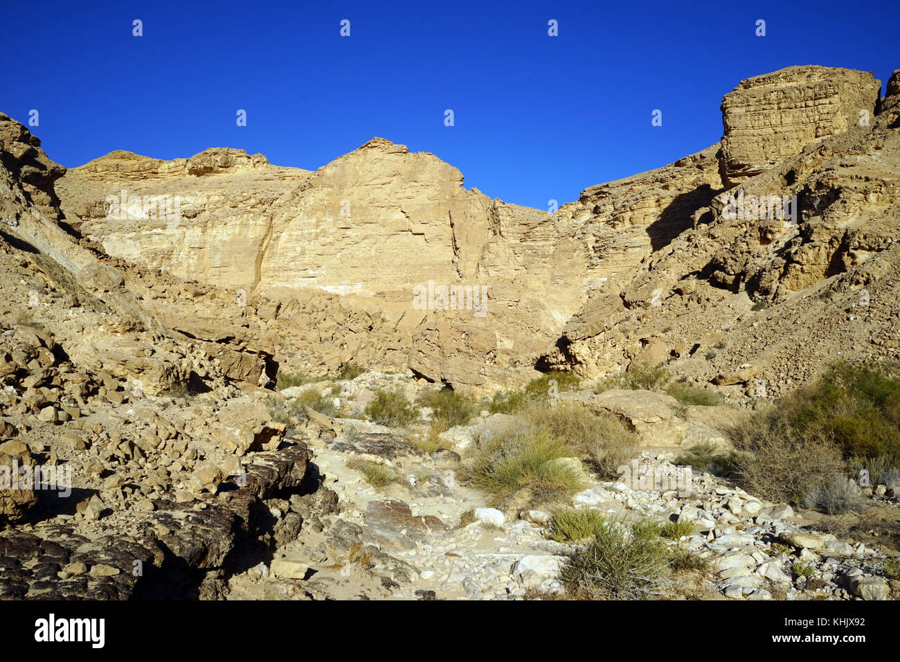 Ravine and mountain in Negev desert. Israel Stock Photo - Alamy