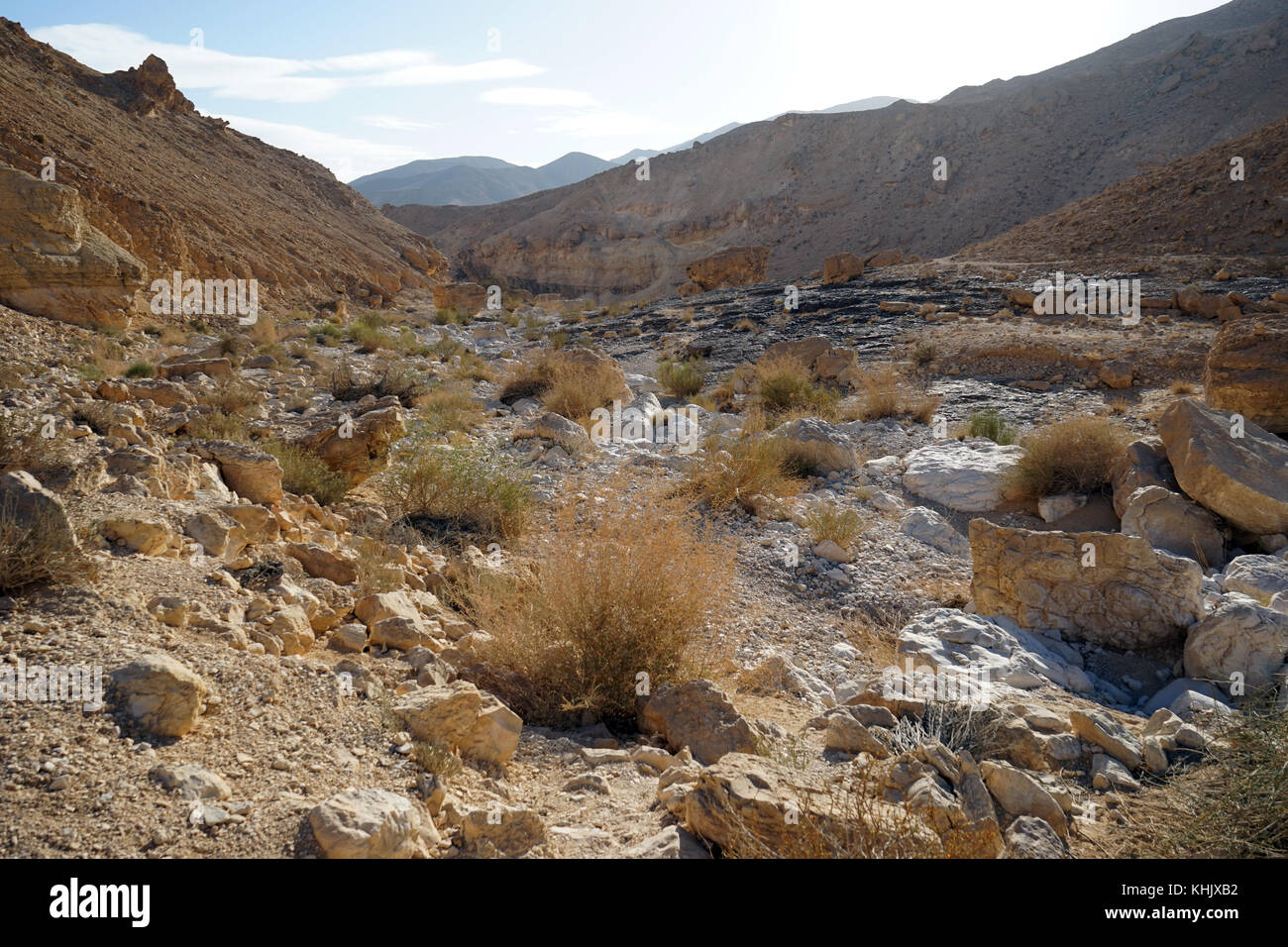 Ravine in Negev desert, Israel Stock Photo - Alamy