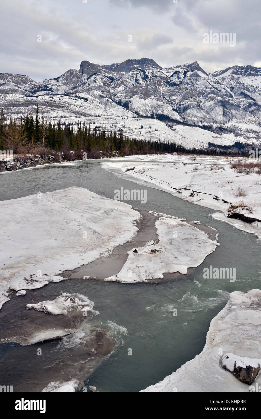 A vertical winter landscape image of the Rocky river with the Miette ...