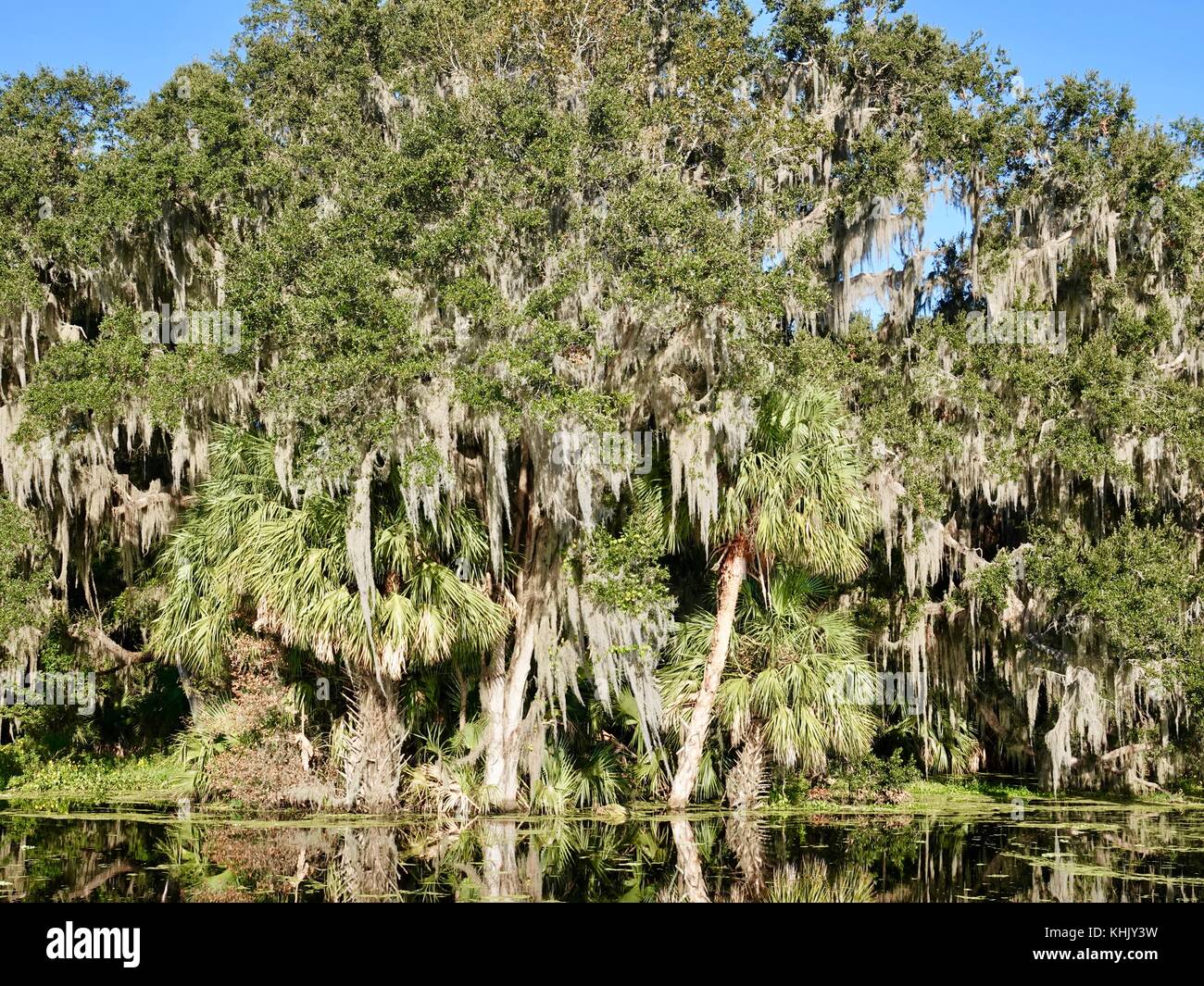North Florida landscape, Alachua County, USA Stock Photo - Alamy
