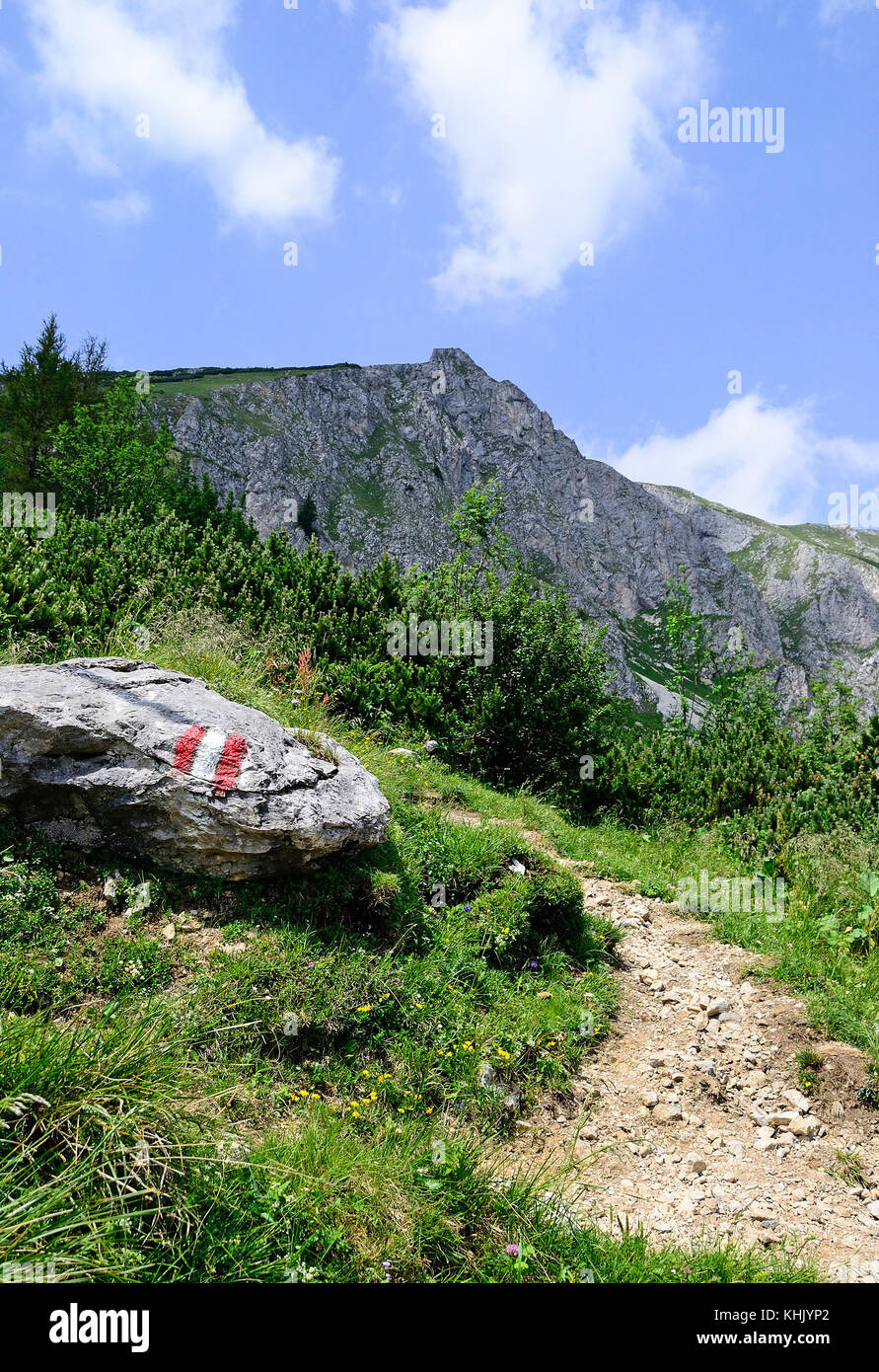 Tourist path on the mountain, Veitsch, Austria Stock Photo - Alamy