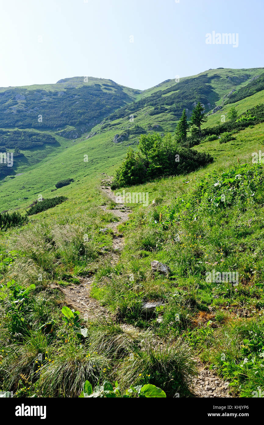 Tourist path in the mountain, Veitsch, Austria Stock Photo - Alamy