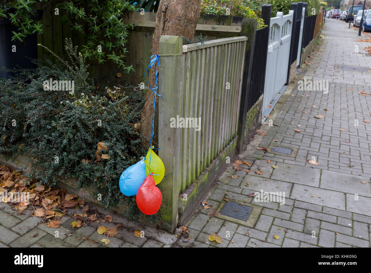 Three colours deflated balloons tied to a garden fence, weeks after a ...