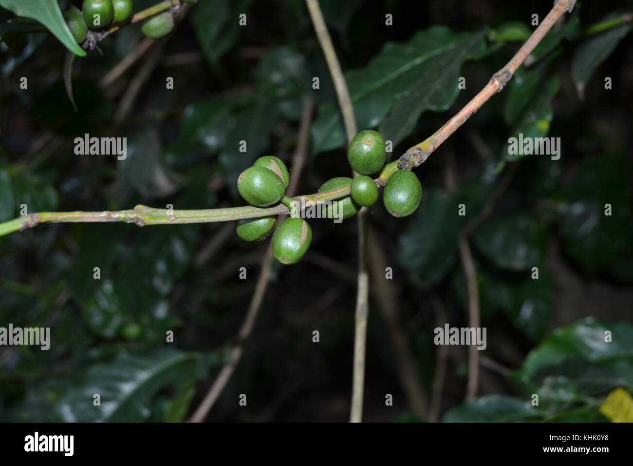 Penny falls hi-res stock photography and images - Alamy