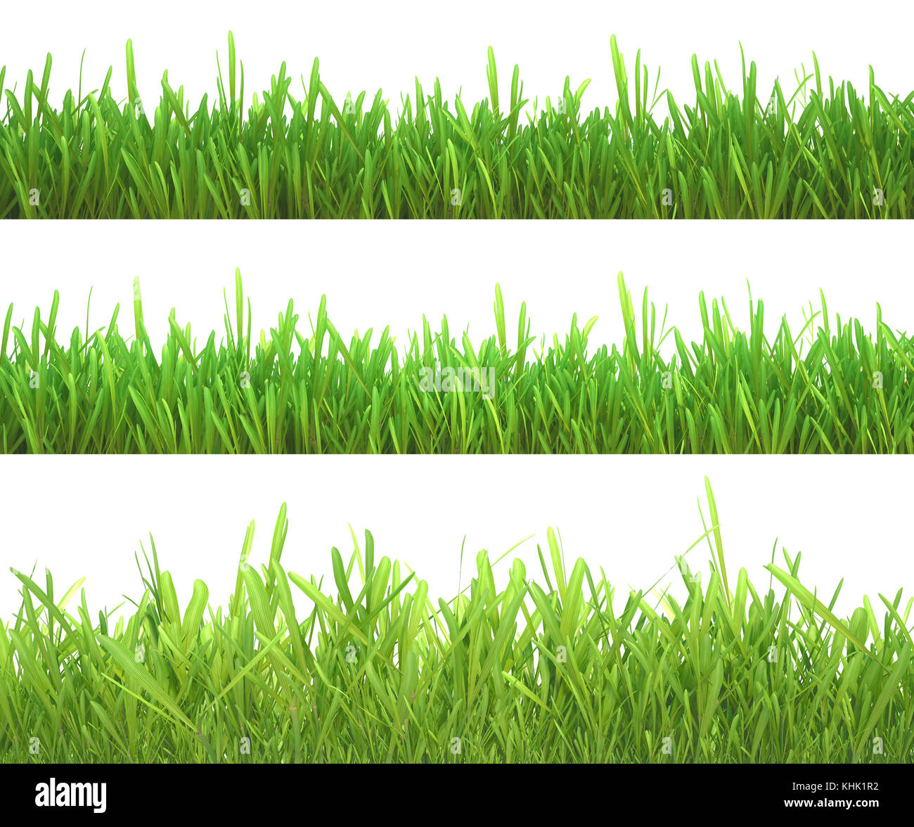 Green grass set. Nature background. Meadow. Spring, summer season ...