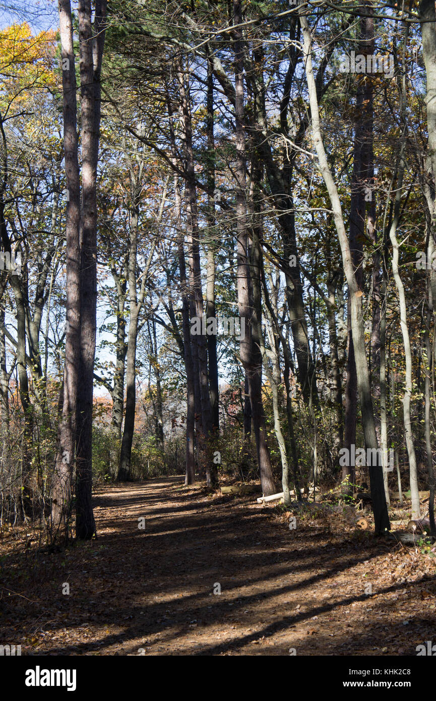 Path around Kendrick Pond in Cutler Park Stock Photo - Alamy