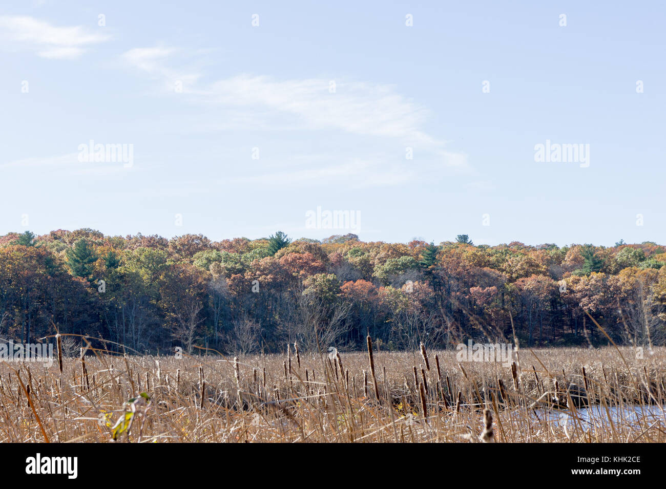 Cutler park hi-res stock photography and images - Alamy