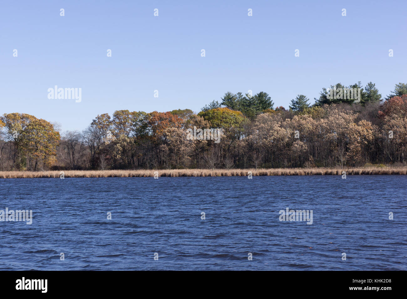 Kendrick Pond in cutler park during autumn Stock Photo - Alamy