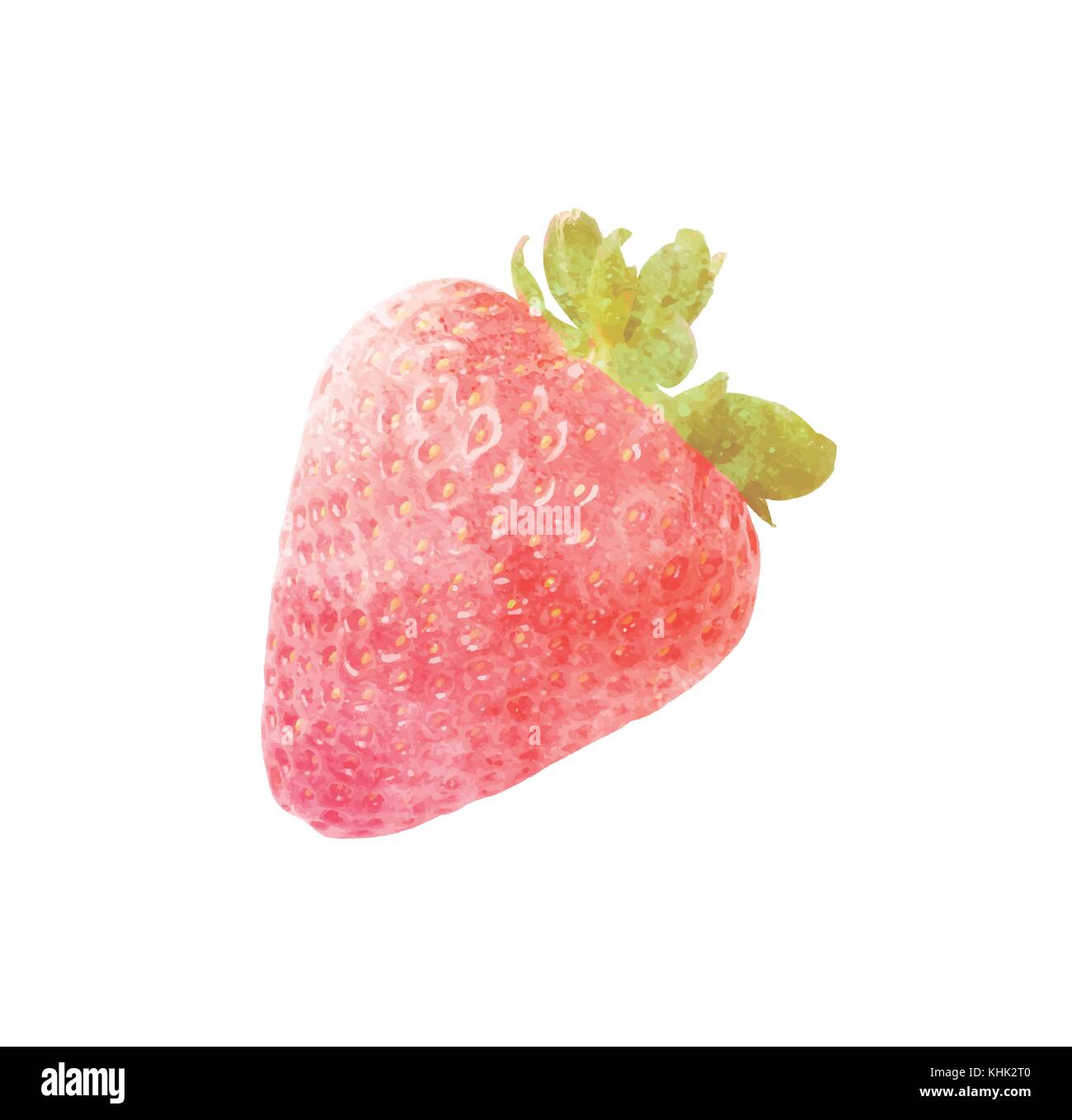 Watercolor Strawberry fruit on white Stock Vector Image & Art - Alamy