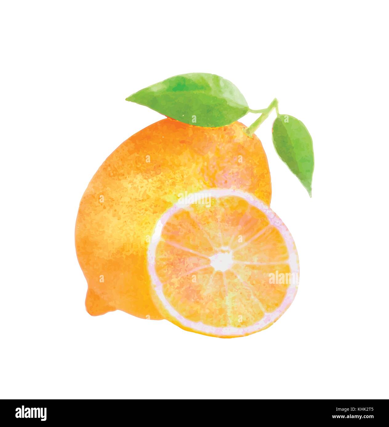 Lemon fruit leaf isolated Stock Vector Images - Alamy