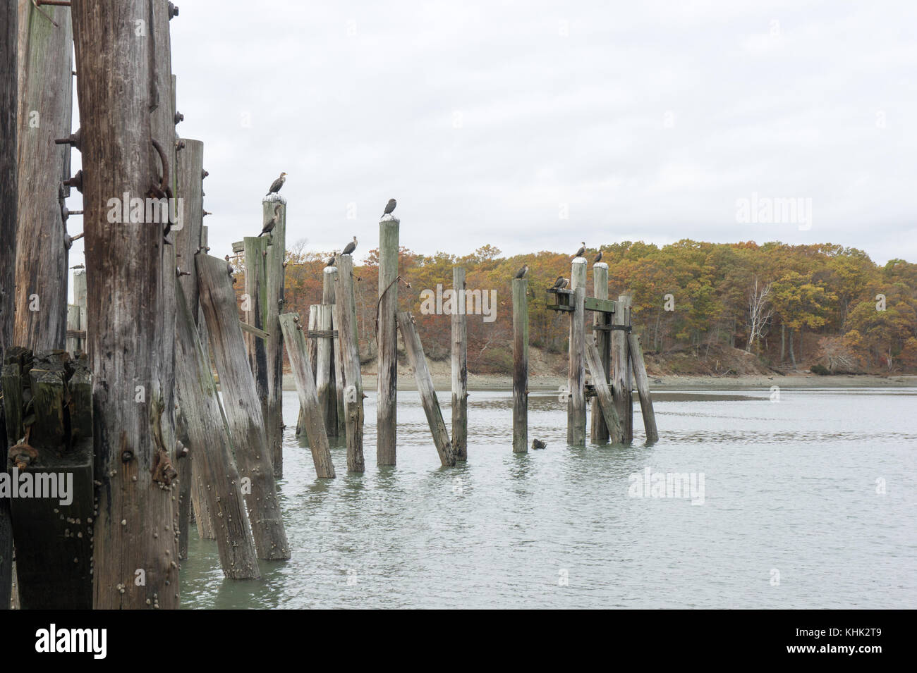 Dock Pilings on Weymouth's Back river in Hingham, MA Stock Photo - Alamy