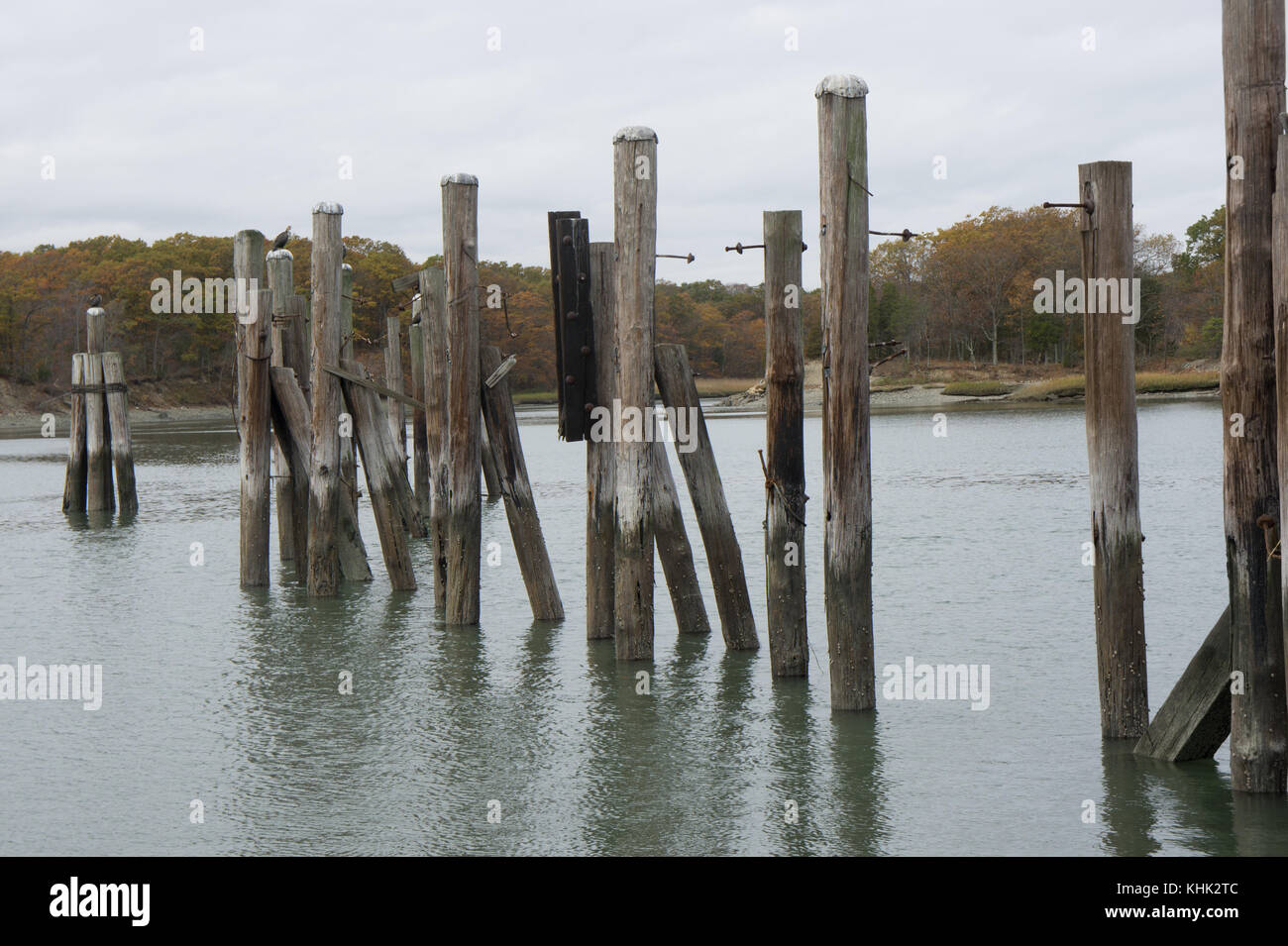Dock Pilings on Weymouth's Back river in Hingham, MA Stock Photo - Alamy