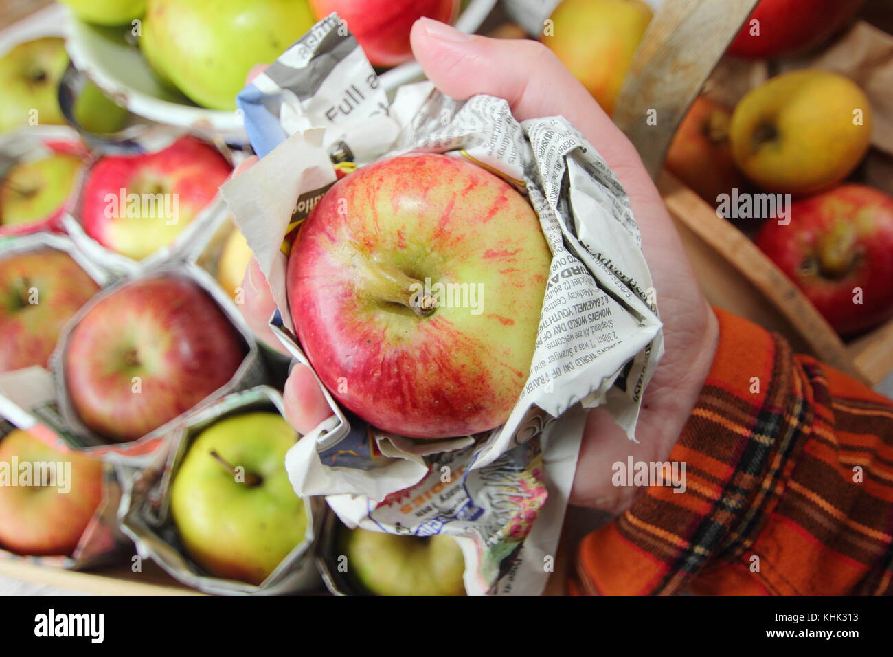 Stored fruit tray hi-res stock photography and images - Alamy