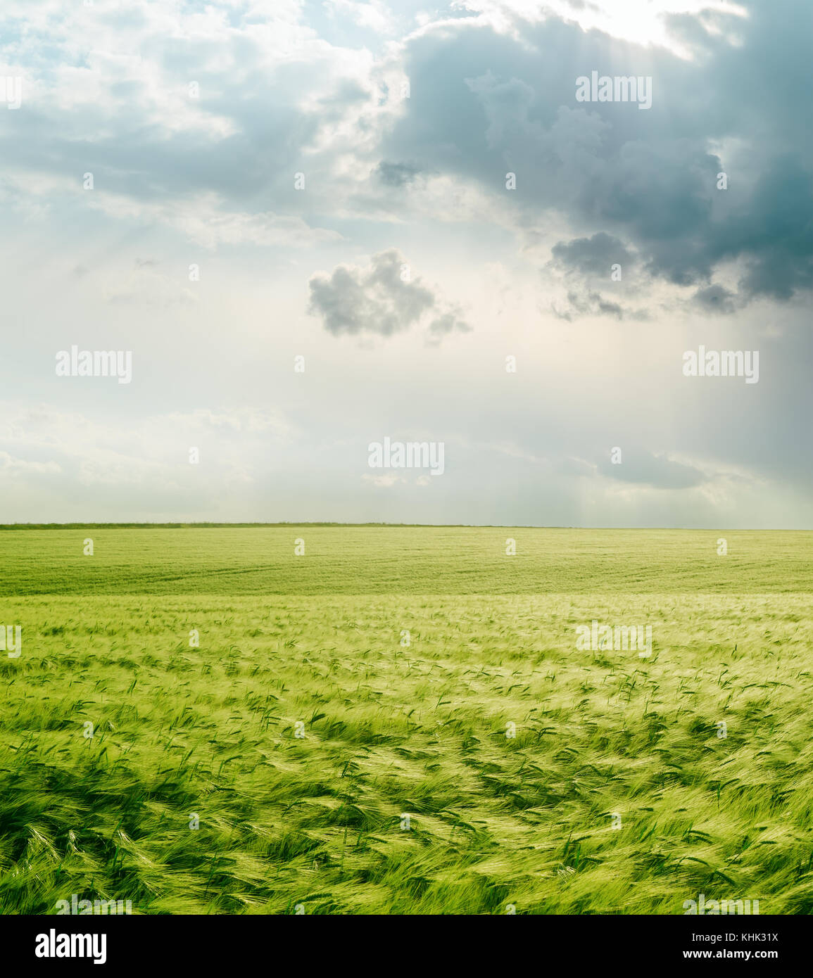 dramatic sky over green field Stock Photo - Alamy