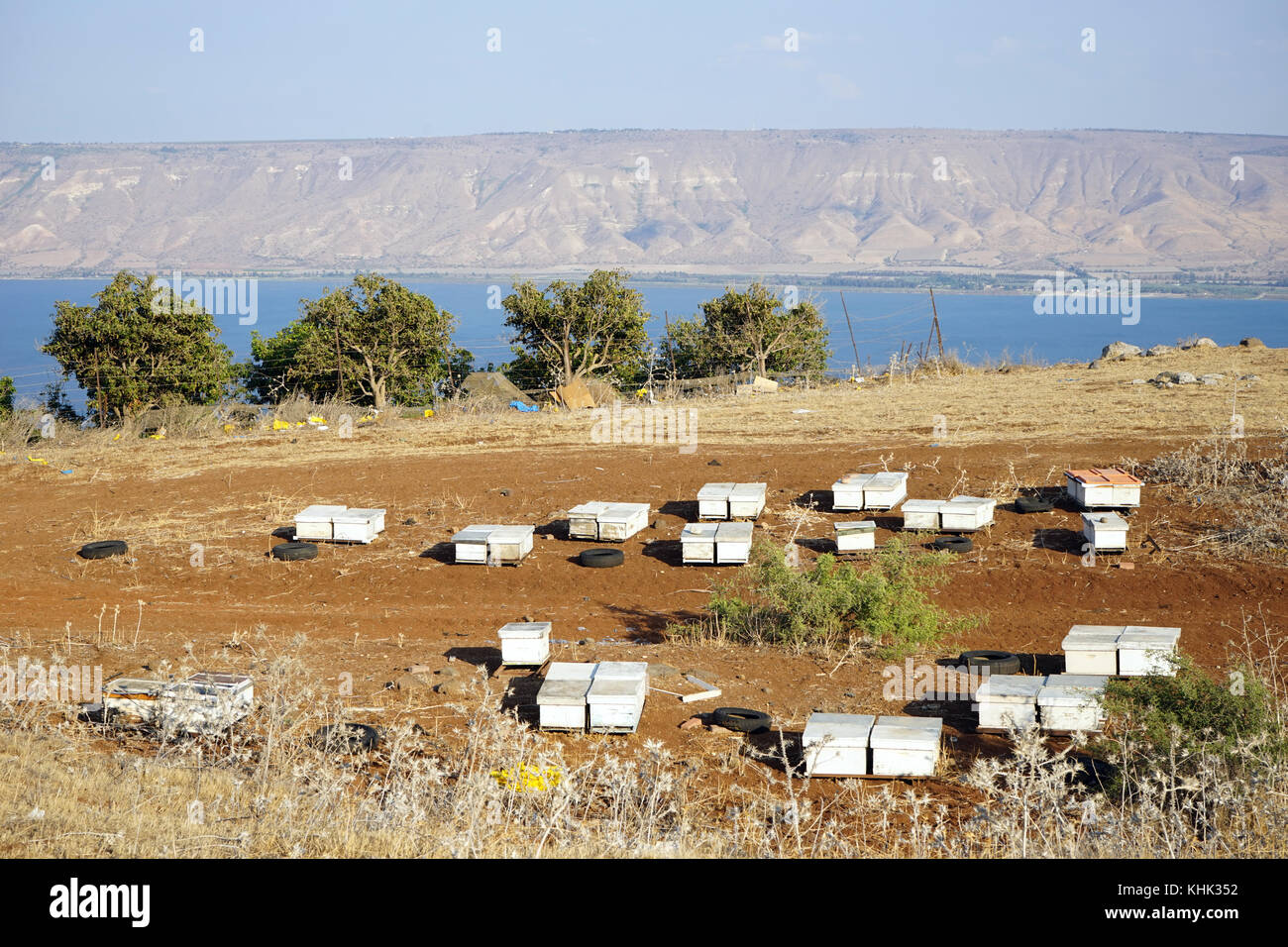 Kinneret lake hi-res stock photography and images - Alamy