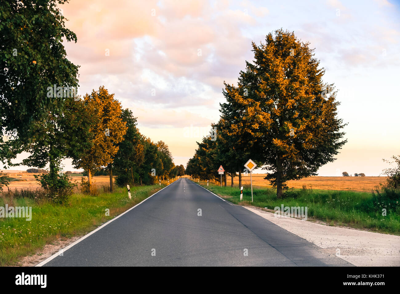 Small countryside road with trees on both sides photographed during ...