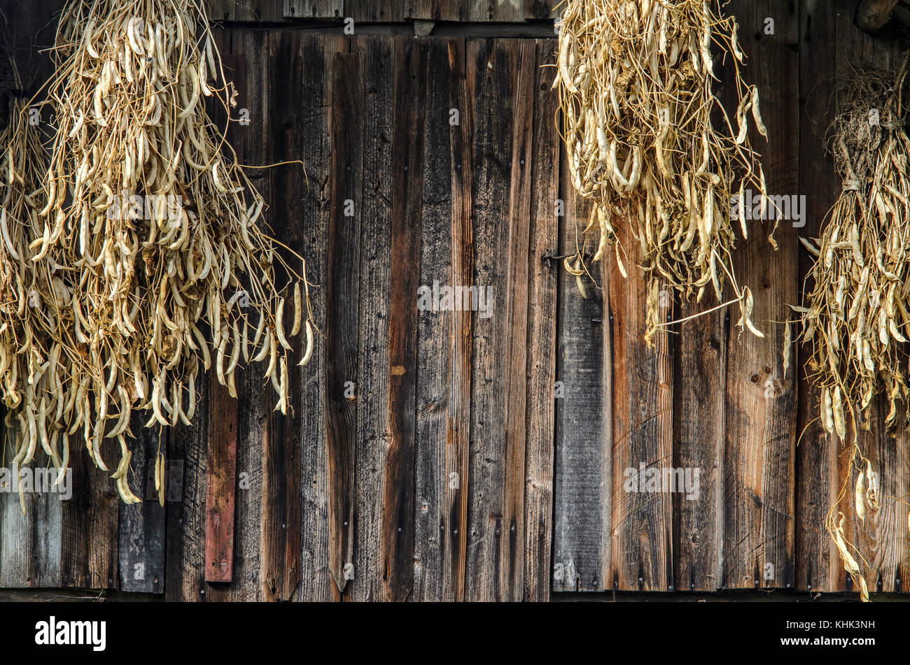 Drying sheaves hi-res stock photography and images - Alamy